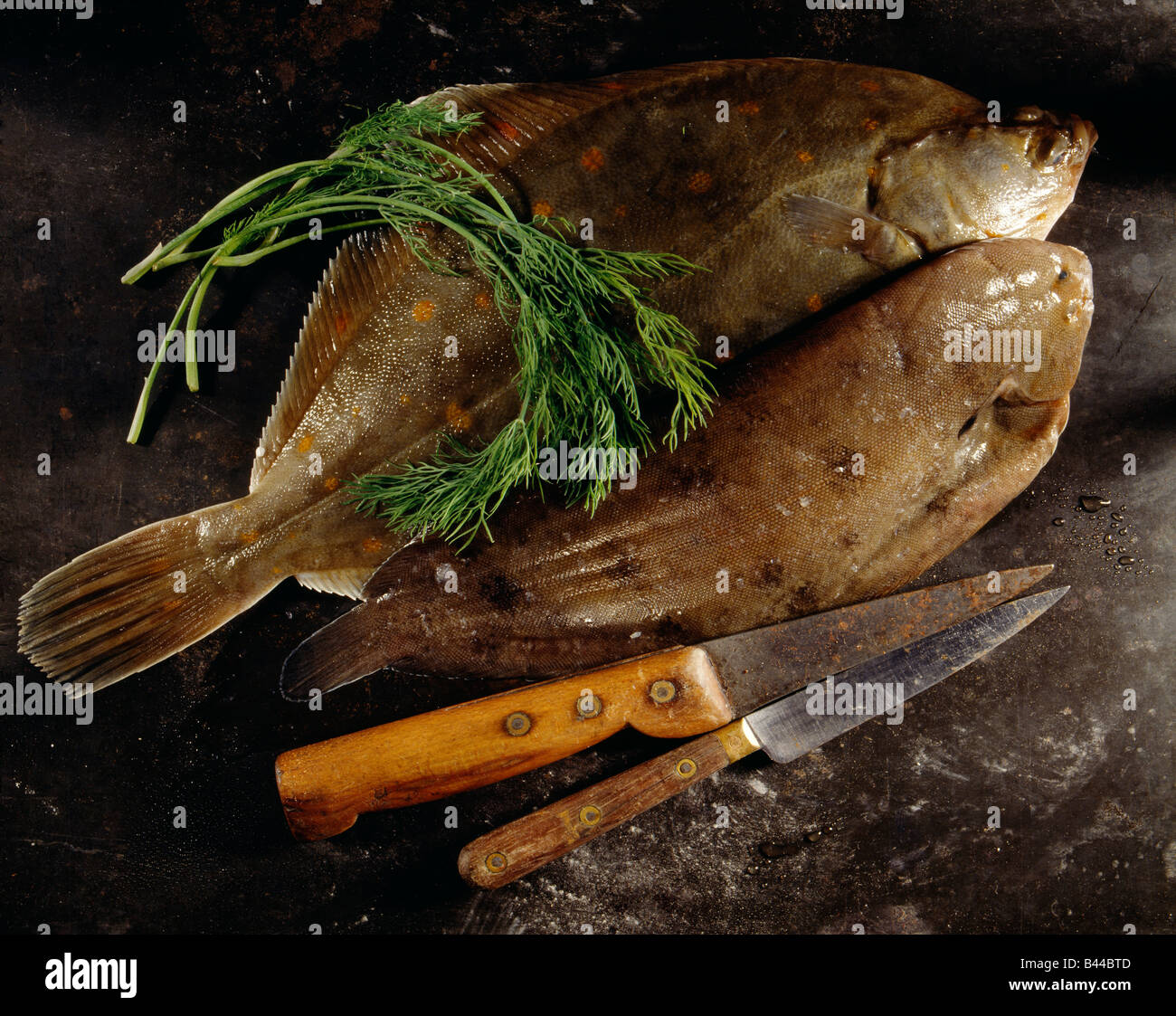 Two plaice hi-res stock photography and images - Alamy