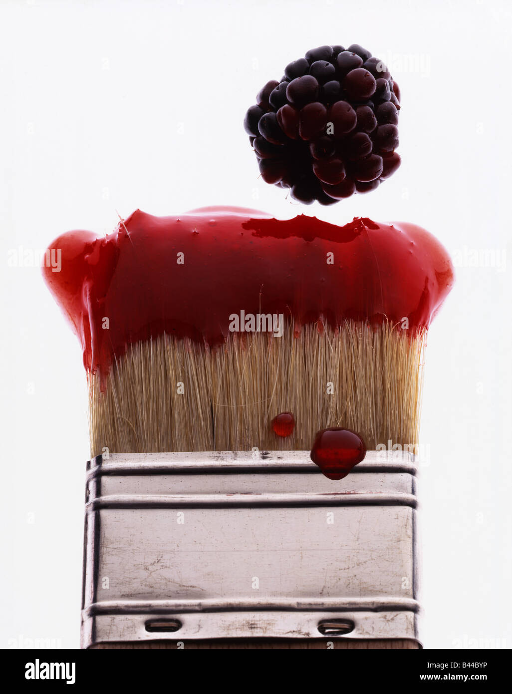 Blackberry coulis hi-res stock photography and images - Alamy