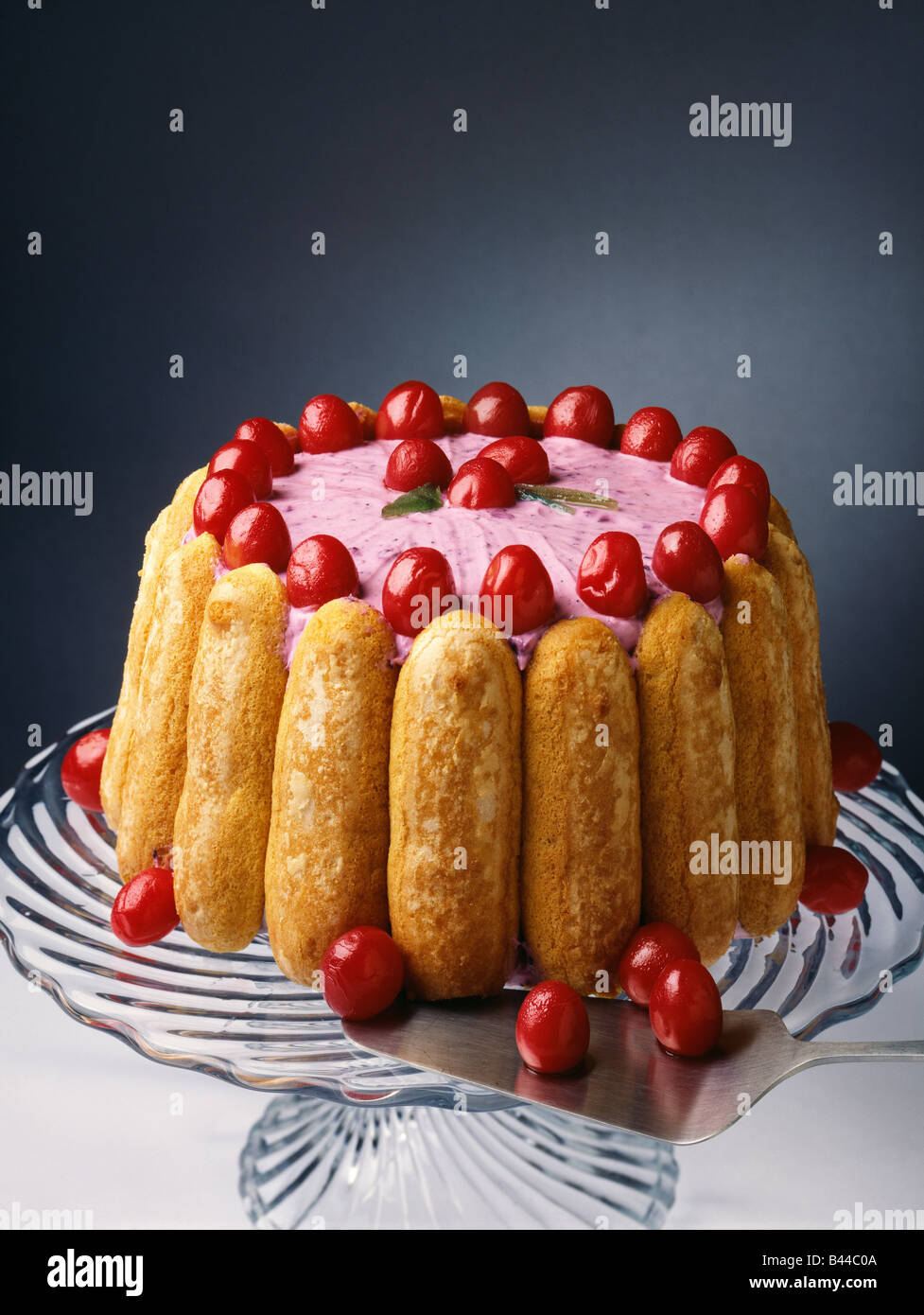 Cherry Charlotte pudding Stock Photo - Alamy