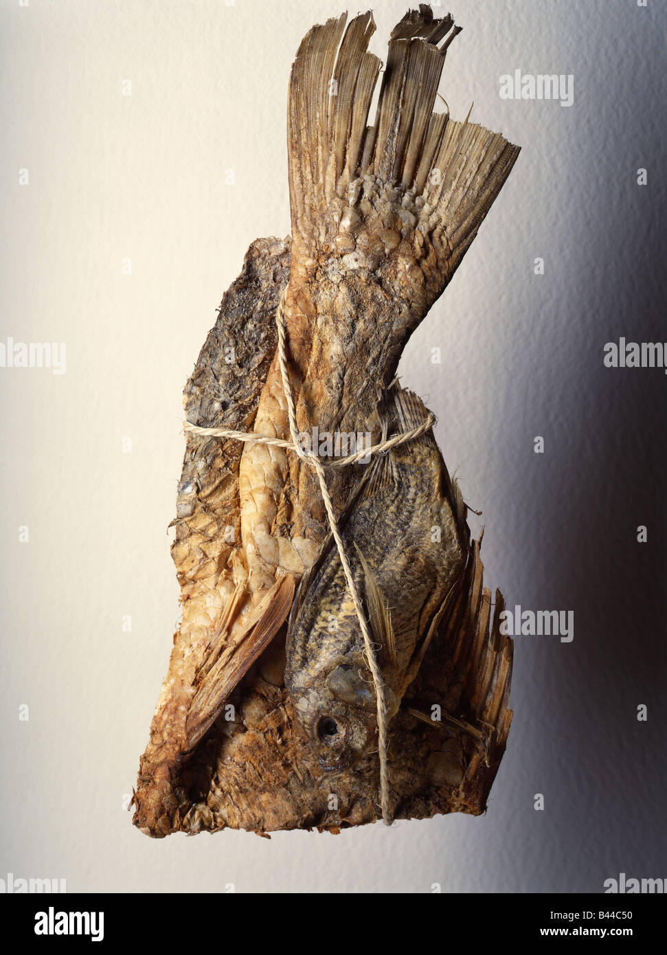 Dried fish hi-res stock photography and images - Alamy