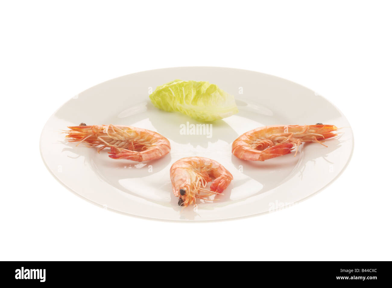 Three Tiger Prawns High Resolution Stock Photography and Images - Alamy