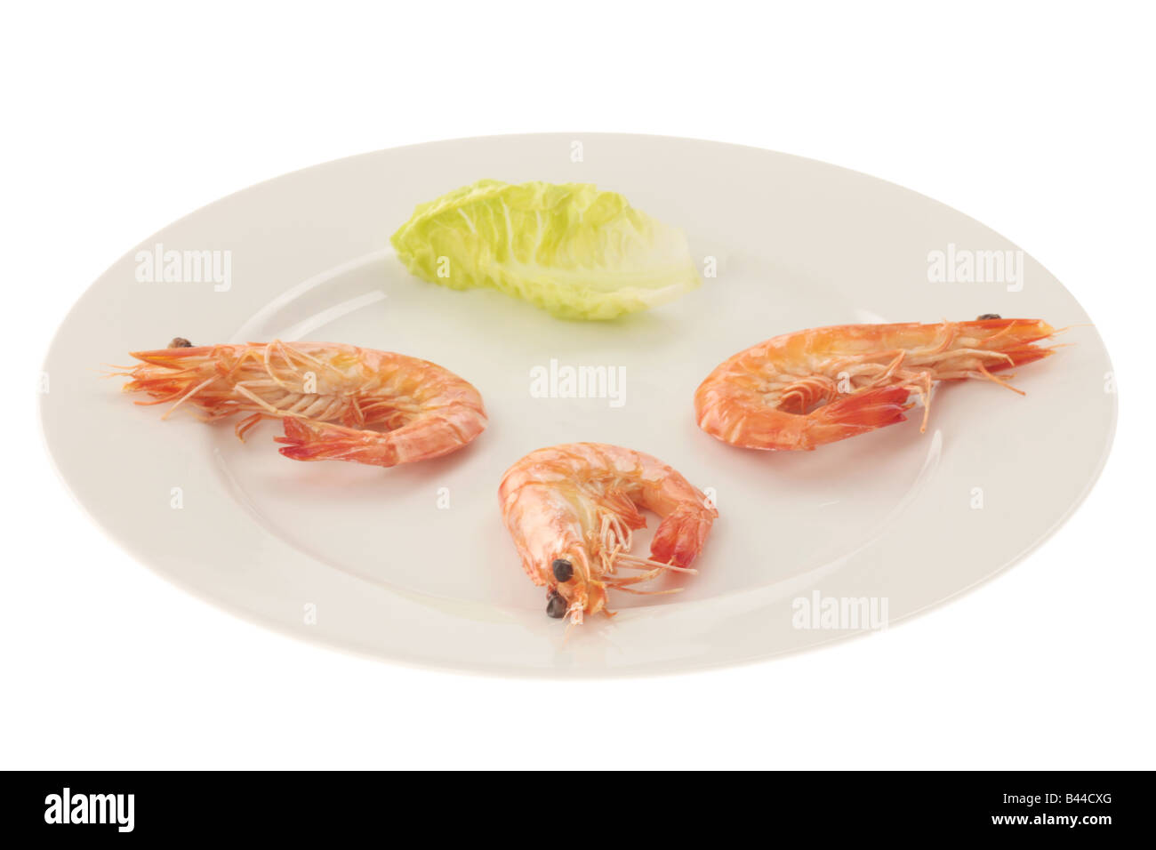 Three Tiger Prawns High Resolution Stock Photography and Images - Alamy