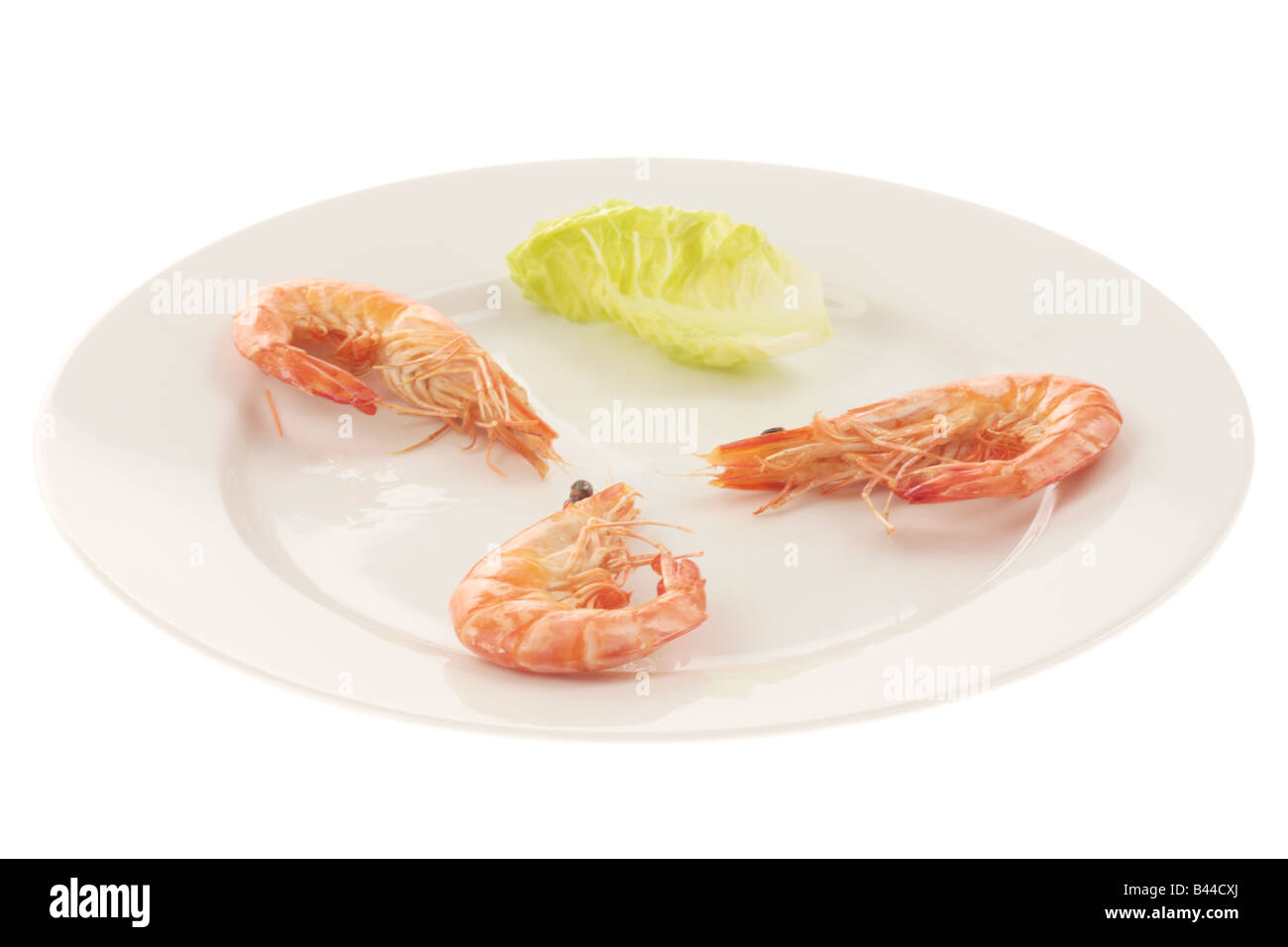 Three tiger prawns hi-res stock photography and images - Alamy