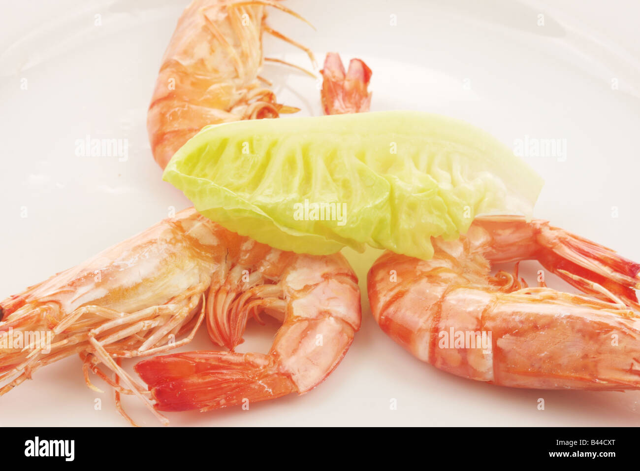 Three tiger prawns hi-res stock photography and images - Alamy