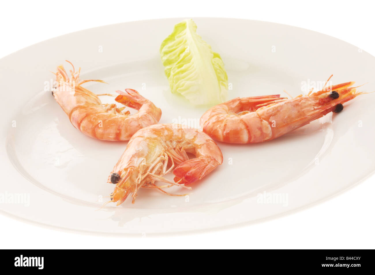 Three Tiger Prawns High Resolution Stock Photography and Images - Alamy