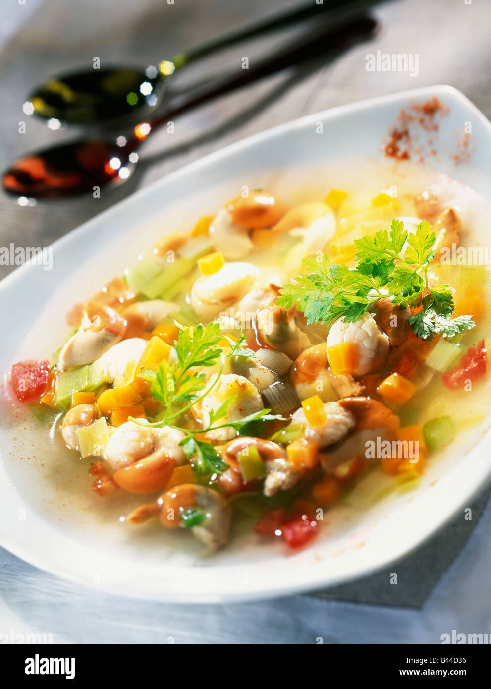 Petoncle scallop nage Stock Photo - Alamy