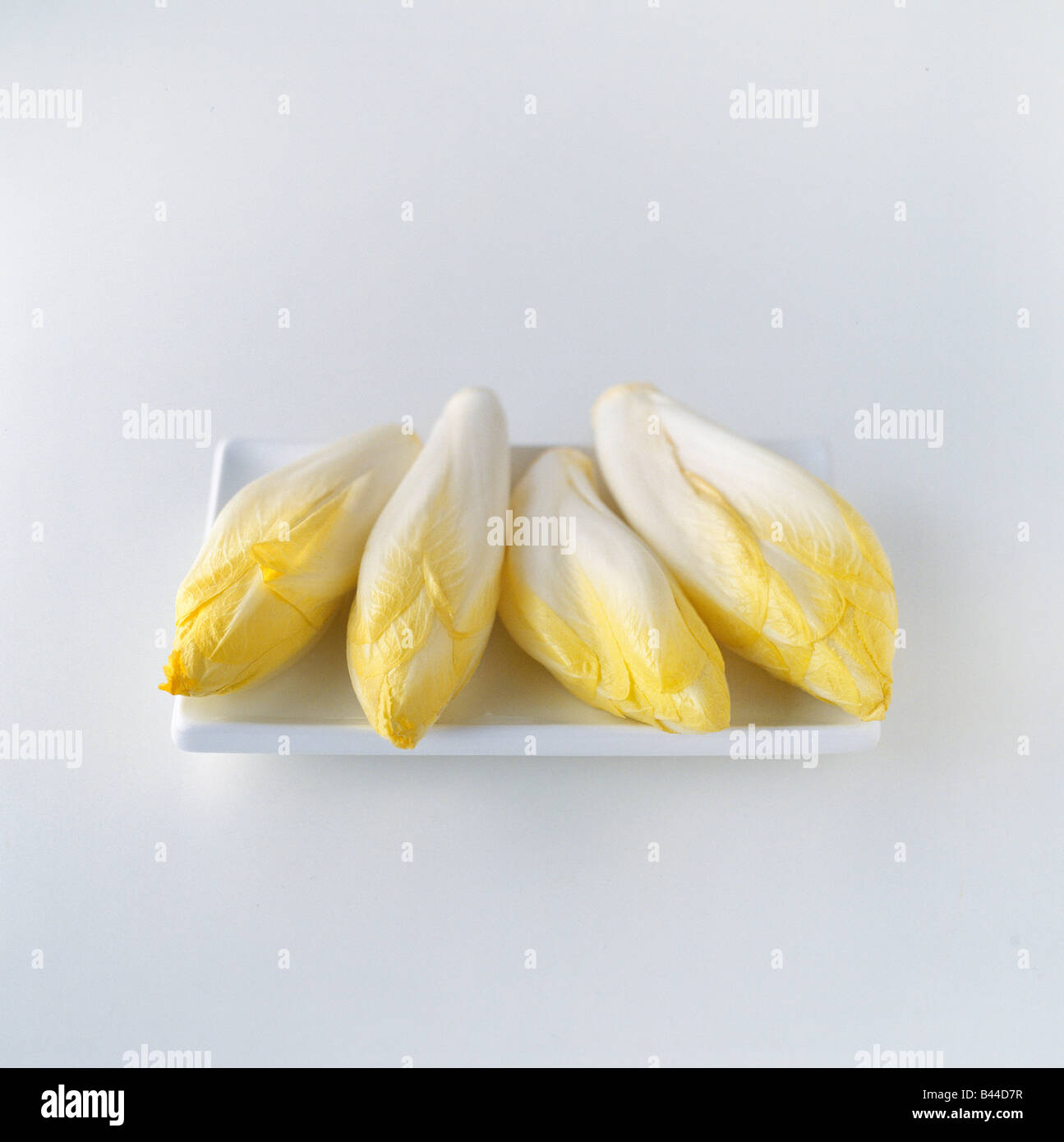 French chicory hi-res stock photography and images - Alamy