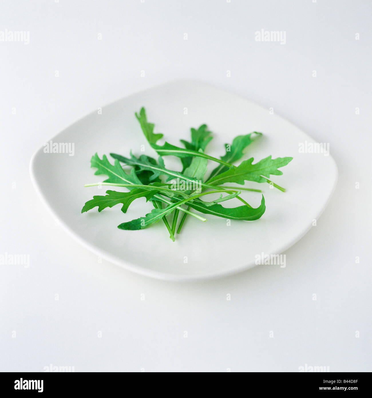 Rocket leaves cut out hi-res stock photography and images - Alamy