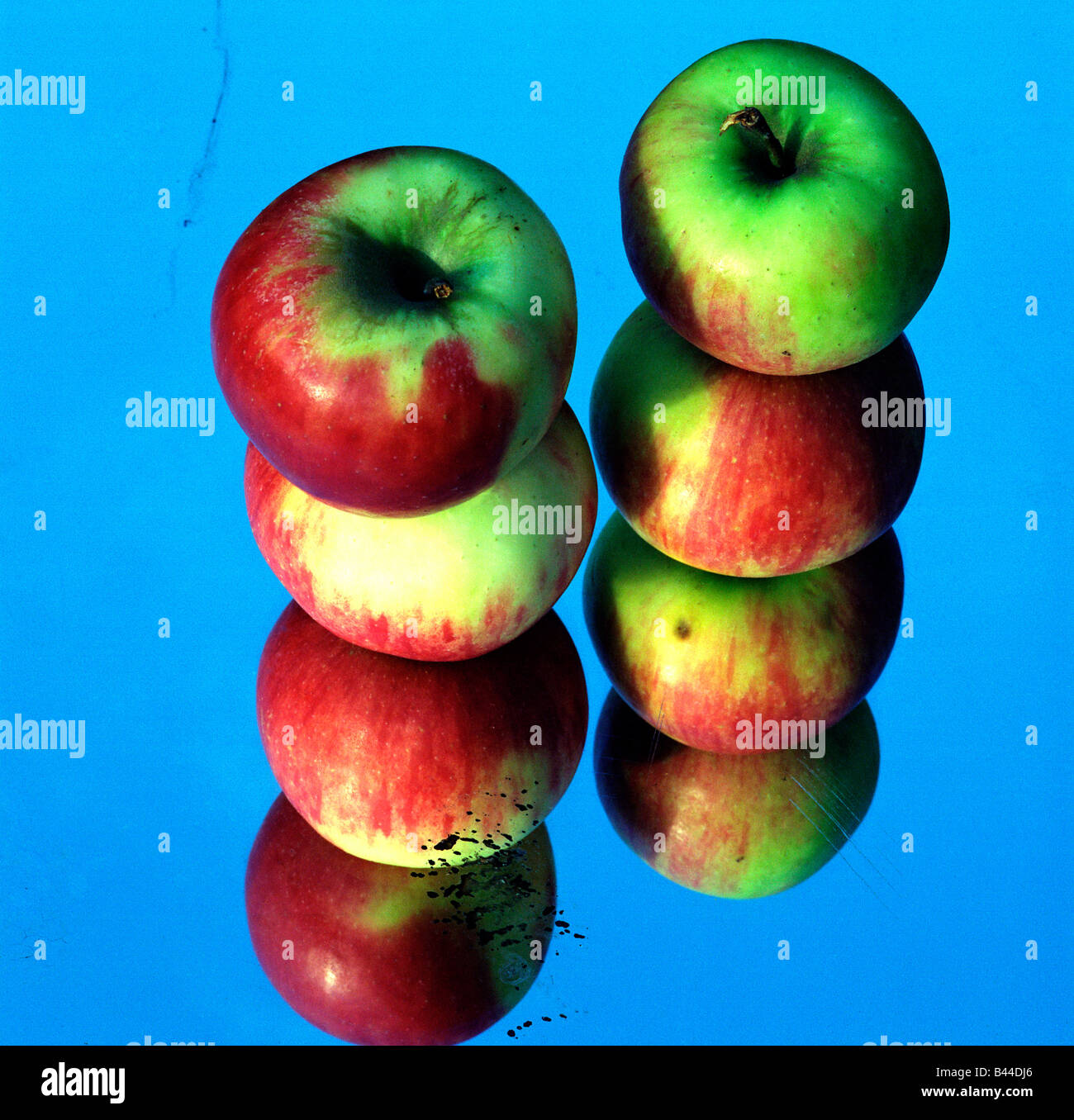 Reine des reinettes hi-res stock photography and images - Alamy