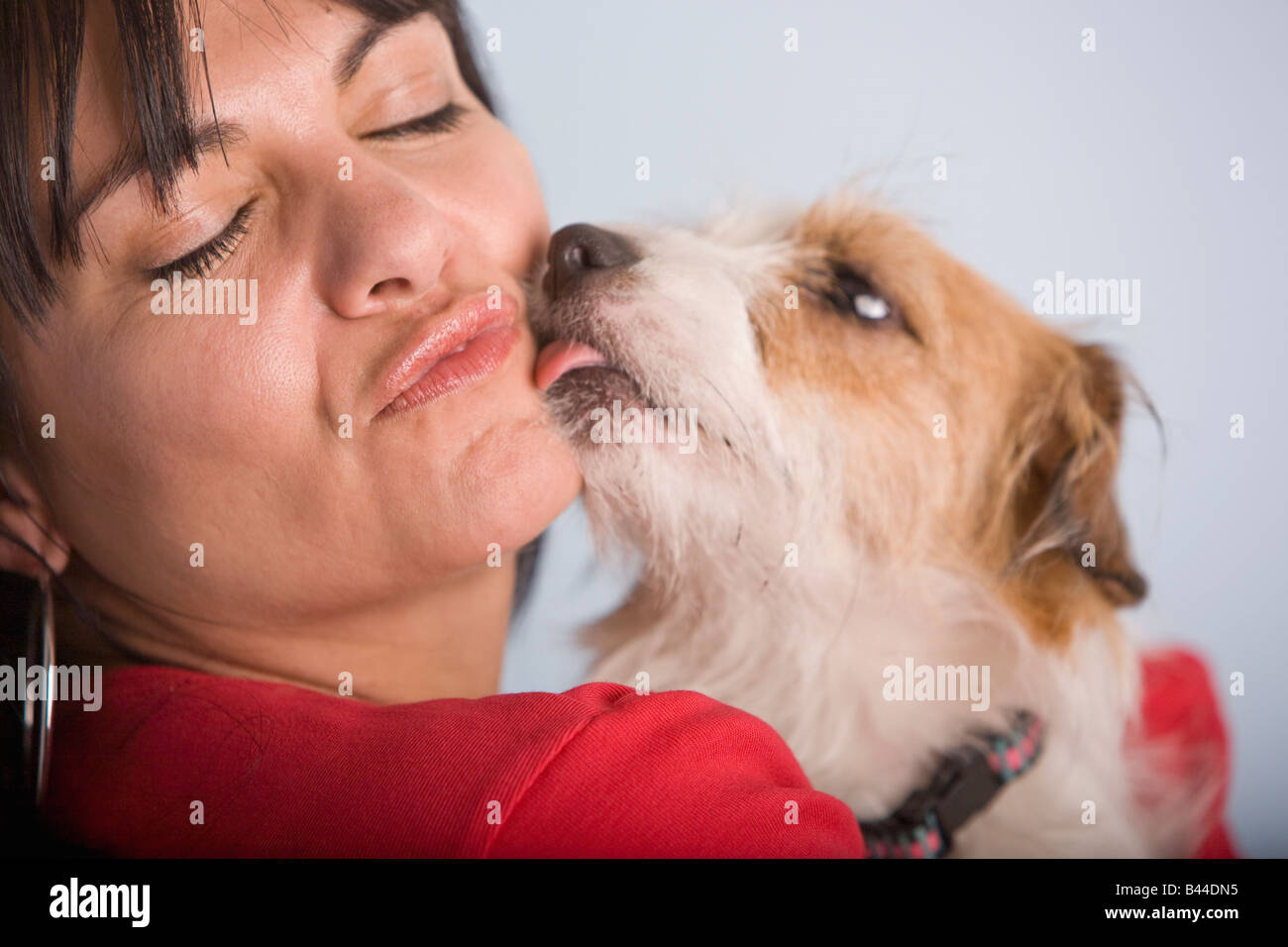 Dog licking person hi-res stock photography and images - Alamy