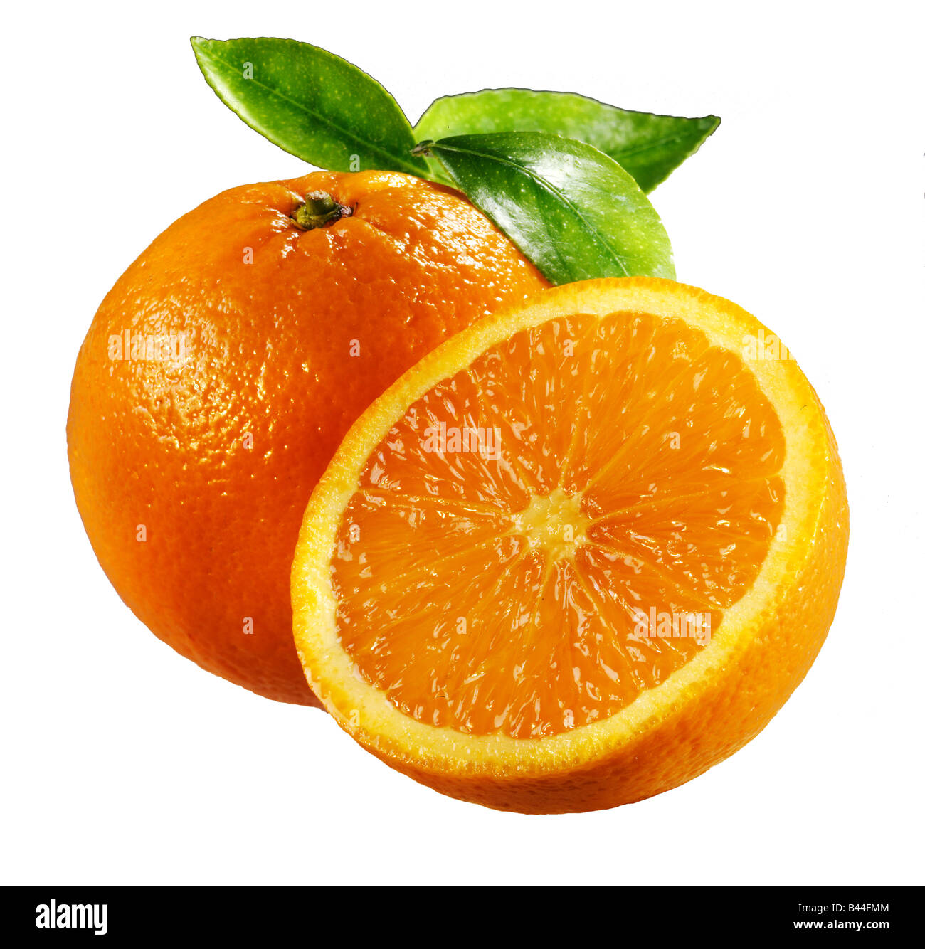Orange tree Cut Out Stock Images & Pictures - Alamy