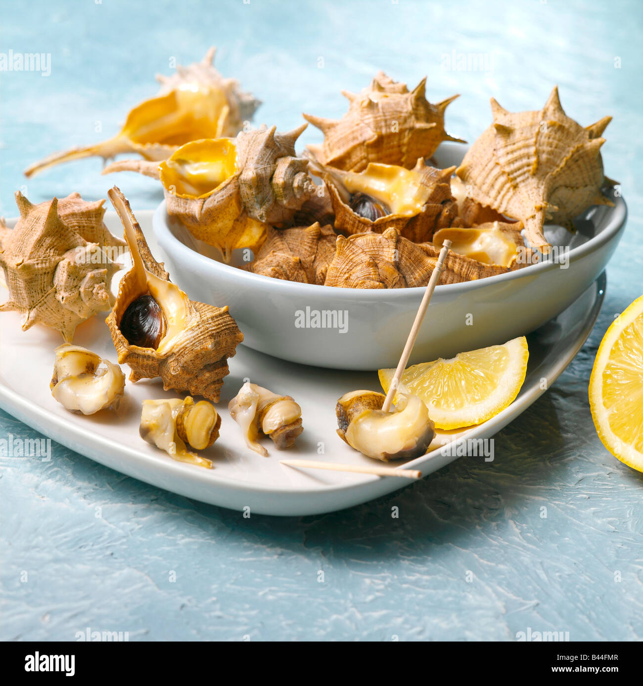 Pick Snail High Resolution Stock Photography and Images - Alamy