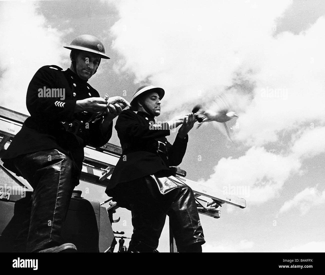 WW2 London firemen using carrier pigeons Stock Photo - Alamy