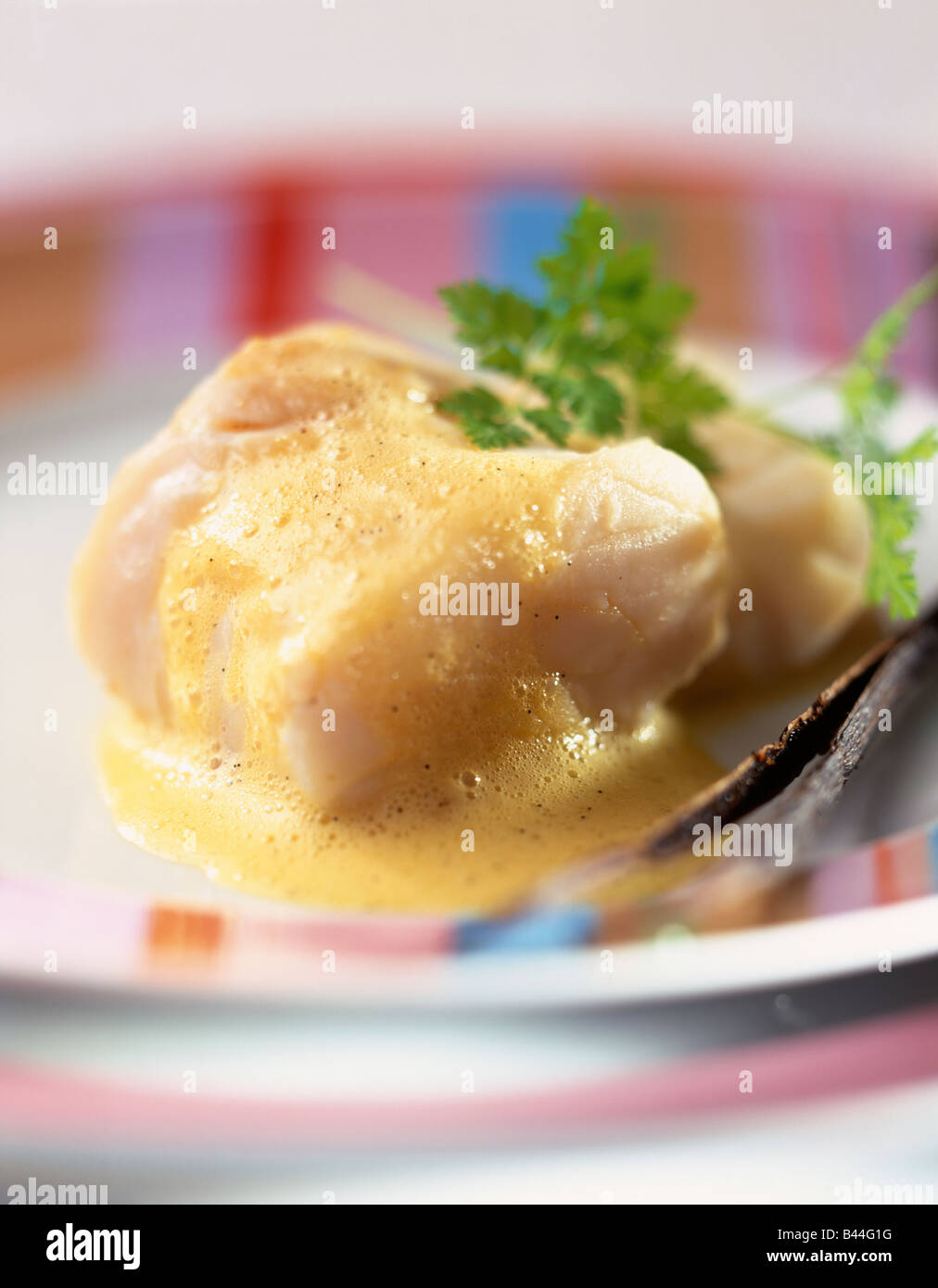 Cod fillet with vanilla Sabayon Stock Photo - Alamy