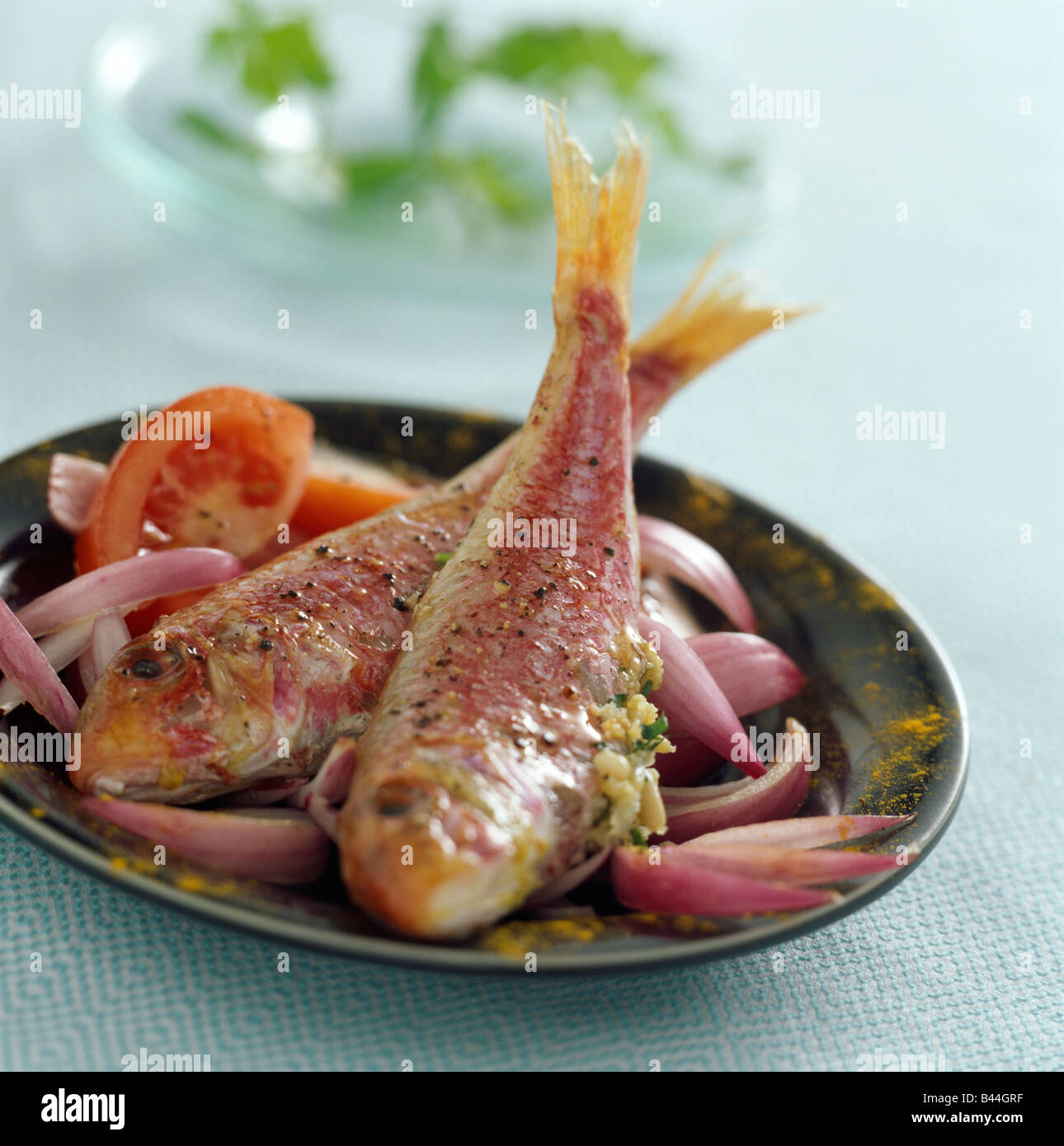 Grilled red mullet Stock Photo - Alamy