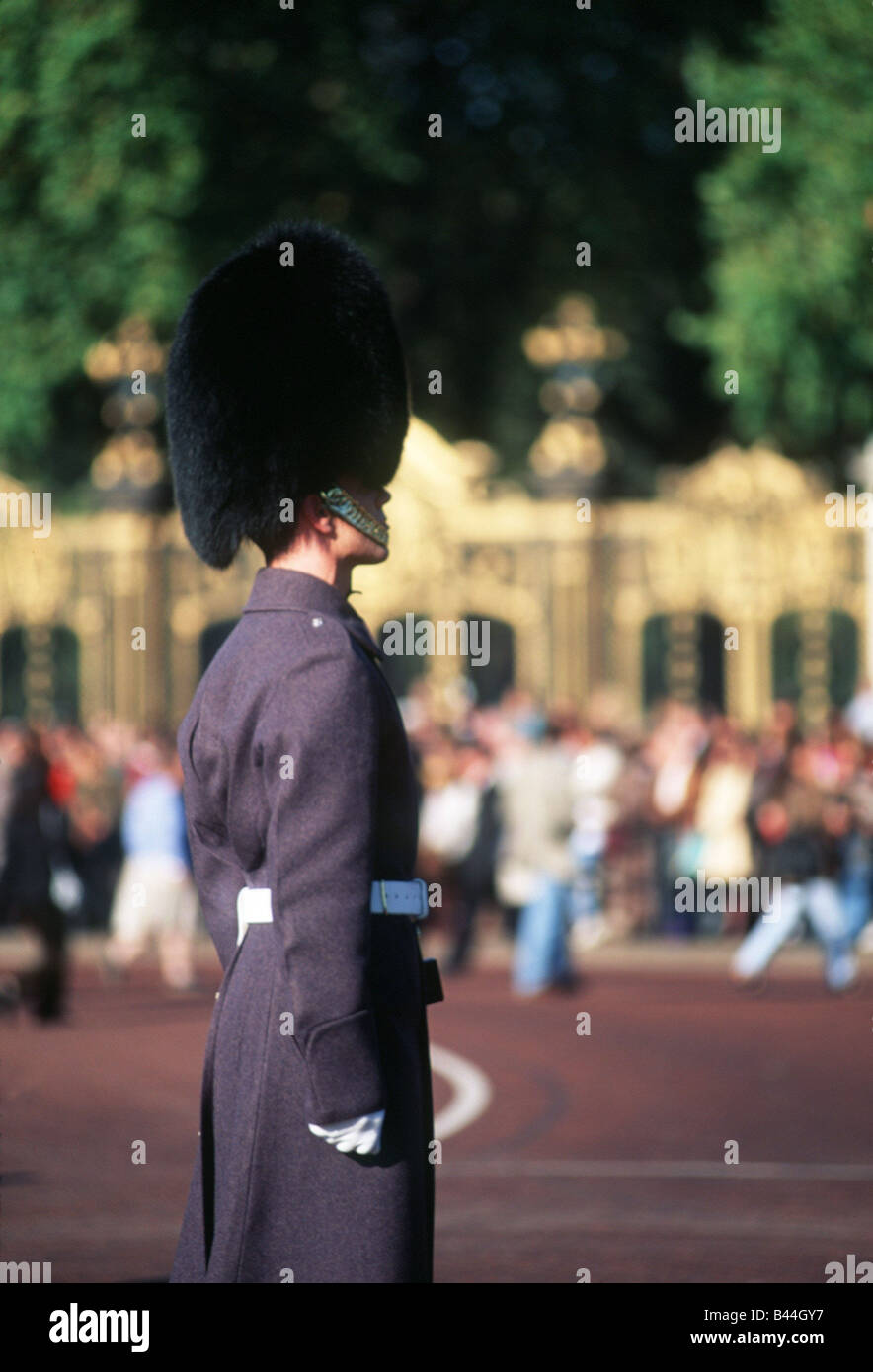 Queens Guard London Stock Photo - Alamy