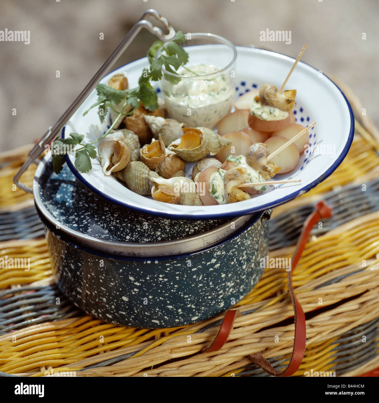 Whelks parsley hi-res stock photography and images - Alamy