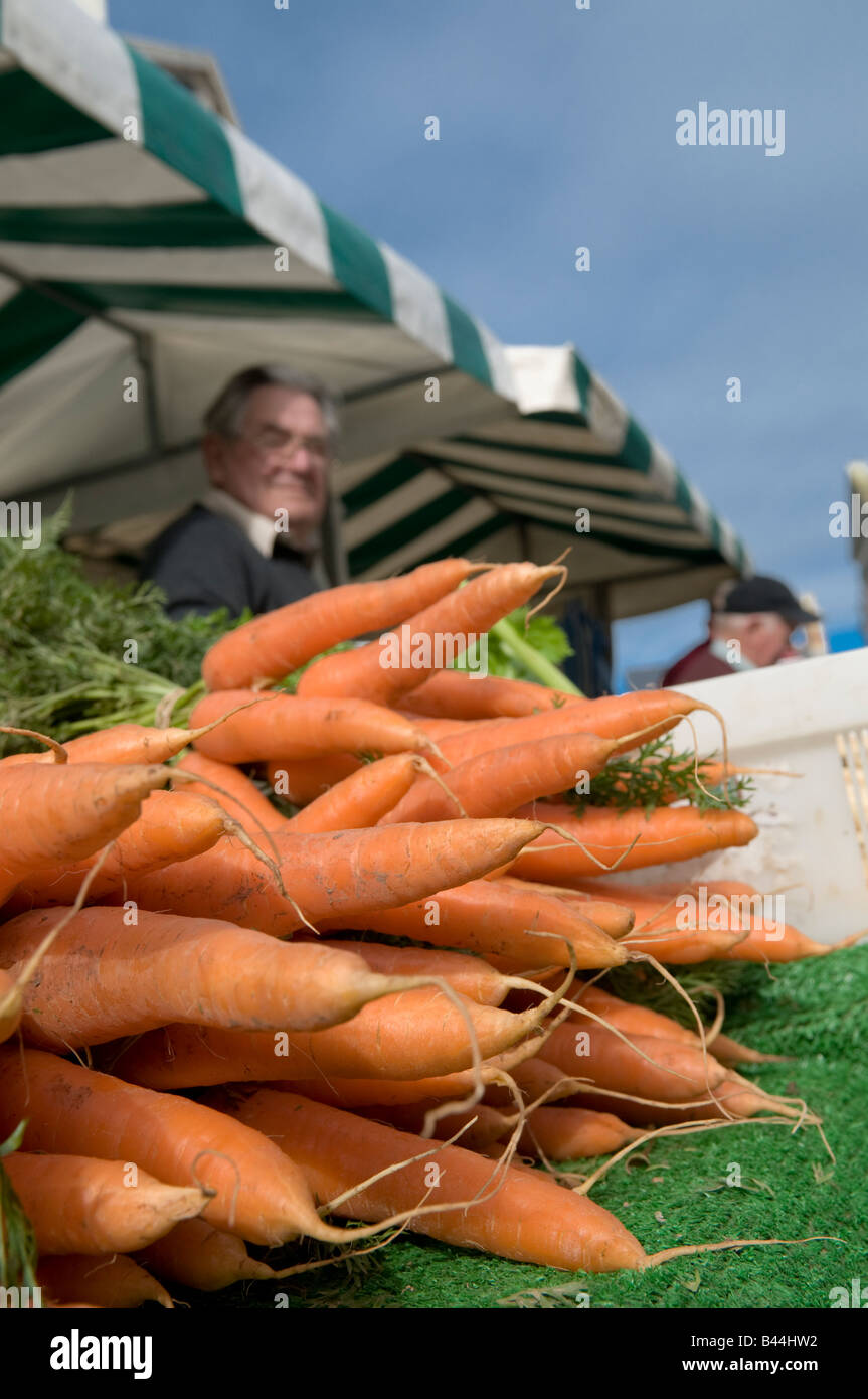bunches of fresh local carrots for sale on stall at Aberystwyth farmers ...