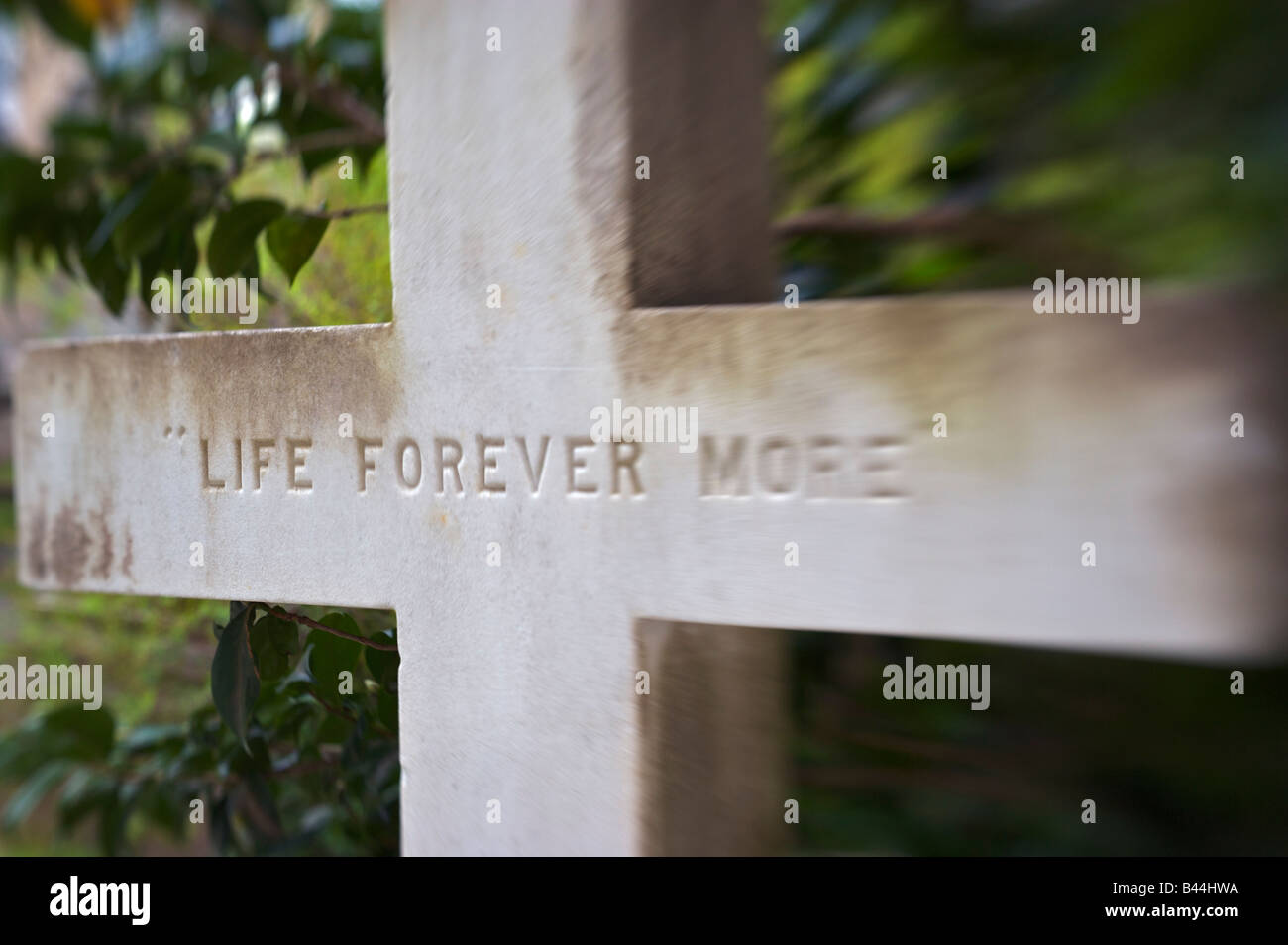 A burial marker with Life Forever More at the historic cemetery at ...