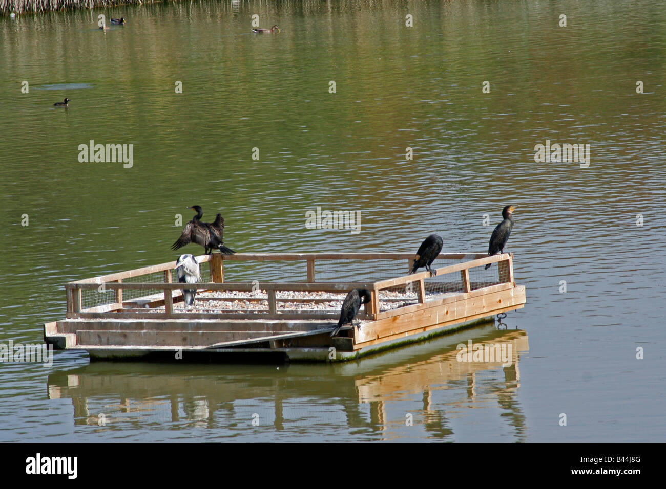 East india dock hi-res stock photography and images - Alamy