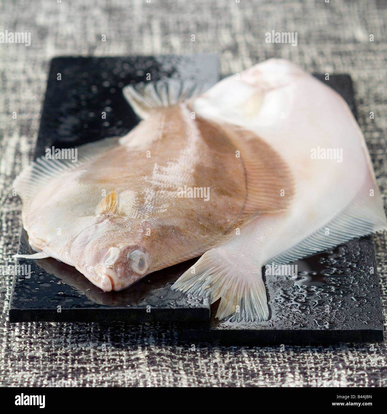 Dabs of color hi-res stock photography and images - Alamy