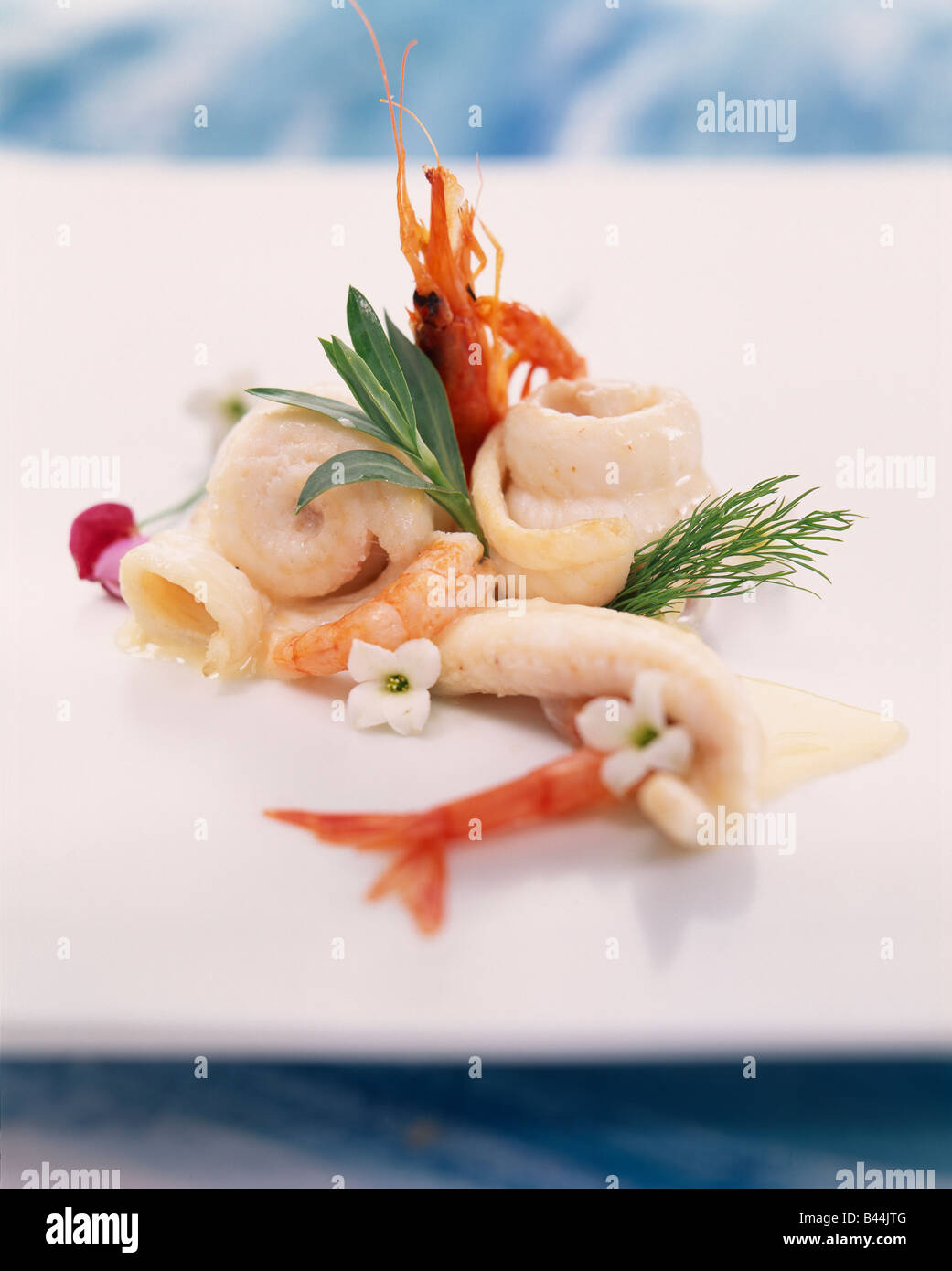 Sole with Kolanchoé cream Stock Photo - Alamy