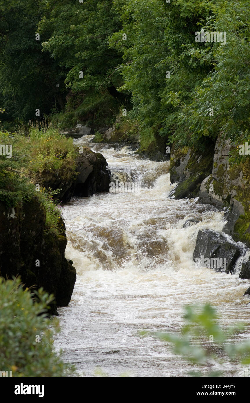 River Teifi in spate Cenarth Stock Photo - Alamy