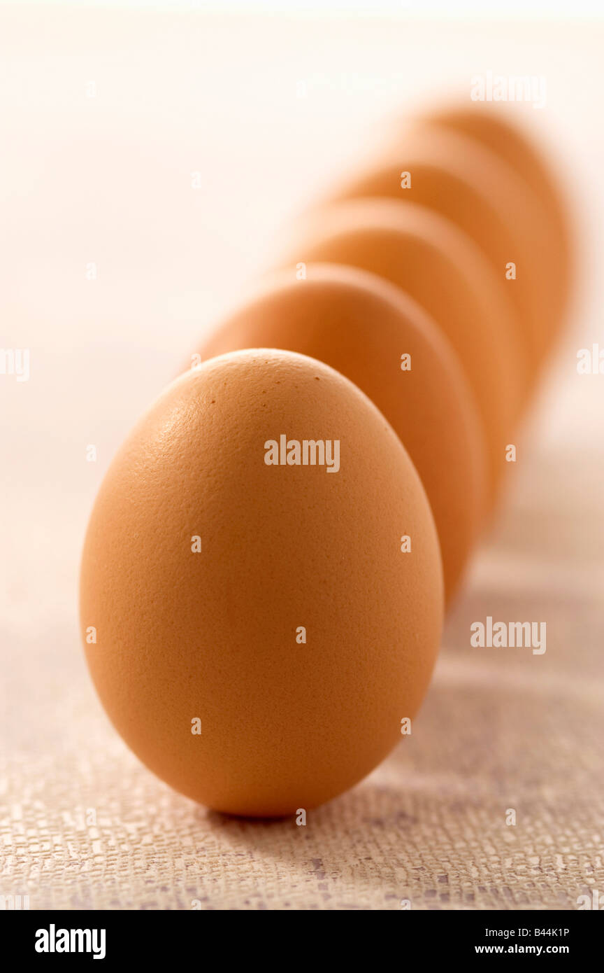 line of eggs Stock Photo - Alamy