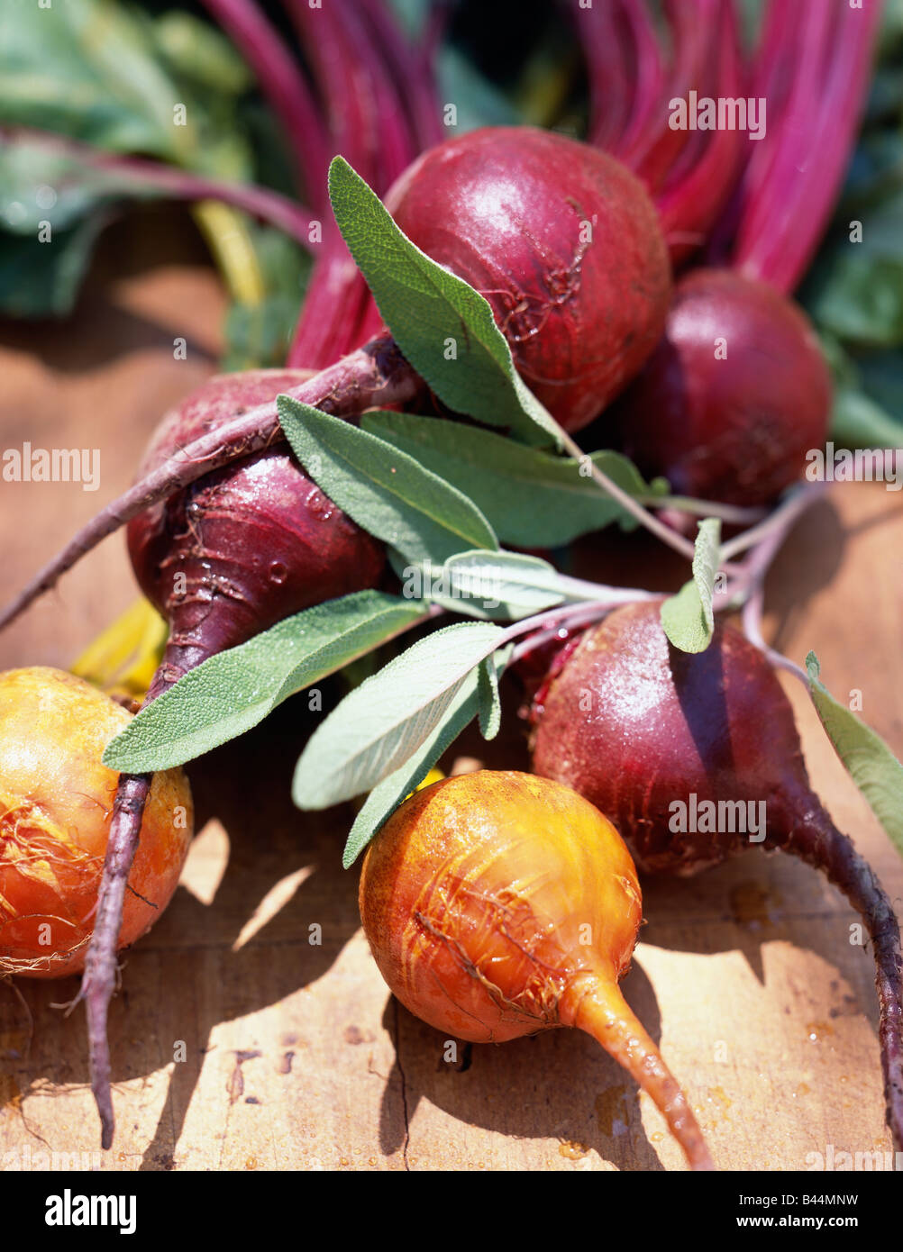 Selection of beetroots Stock Photo - Alamy