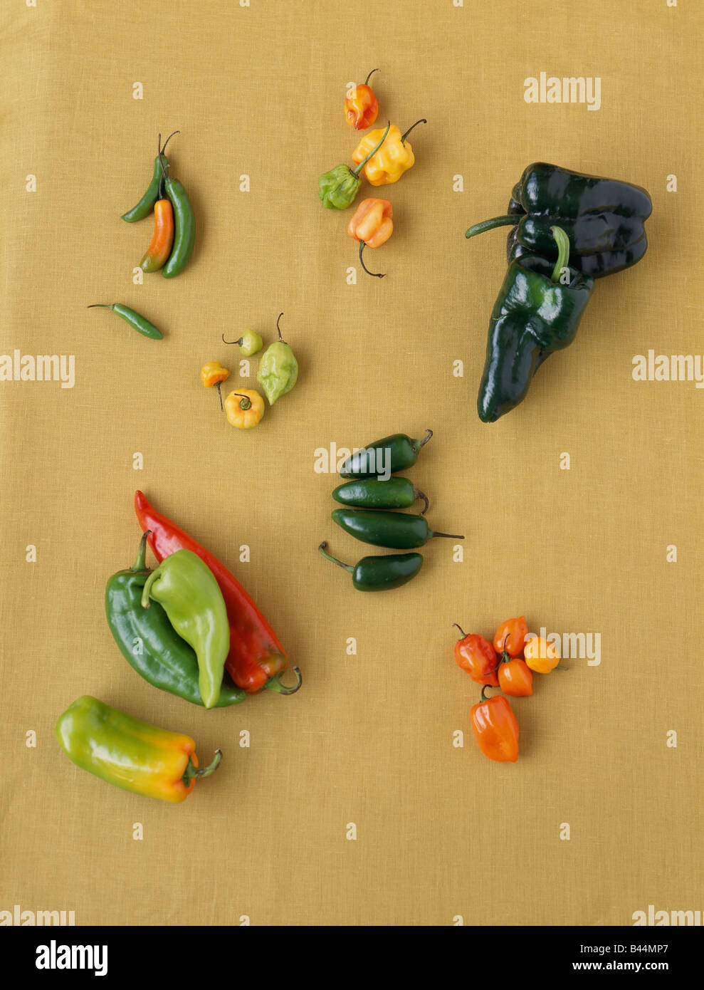 Selection of fresh peppers Stock Photo - Alamy