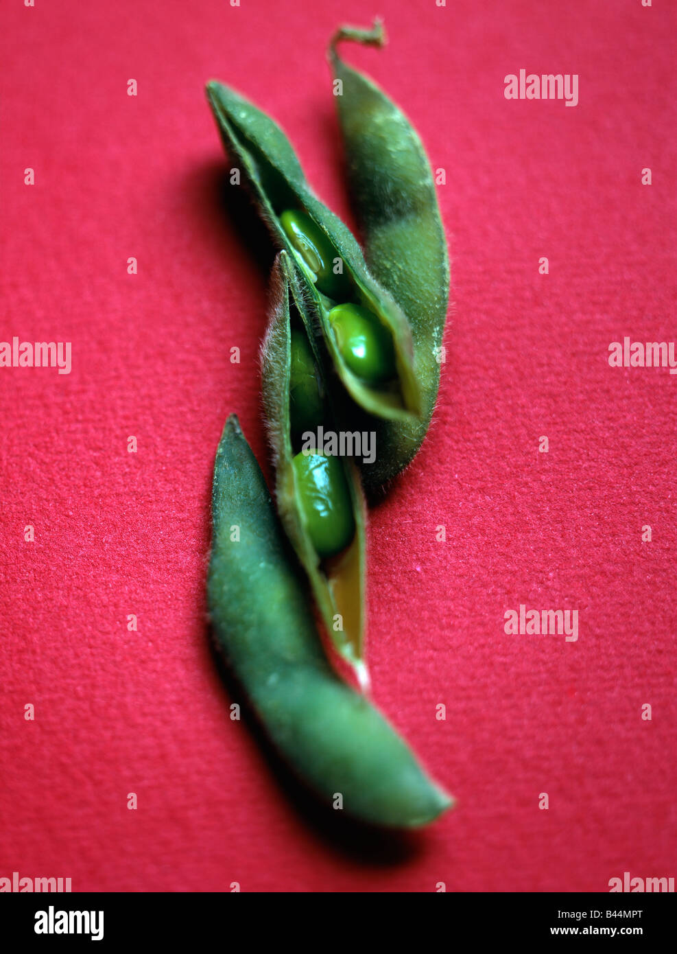 Green edamame soya beans with pods Stock Photo - Alamy