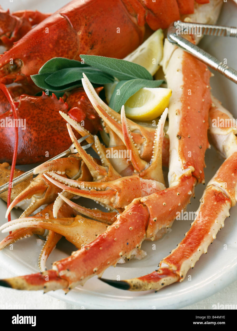 Crab and lobster pincers Stock Photo - Alamy