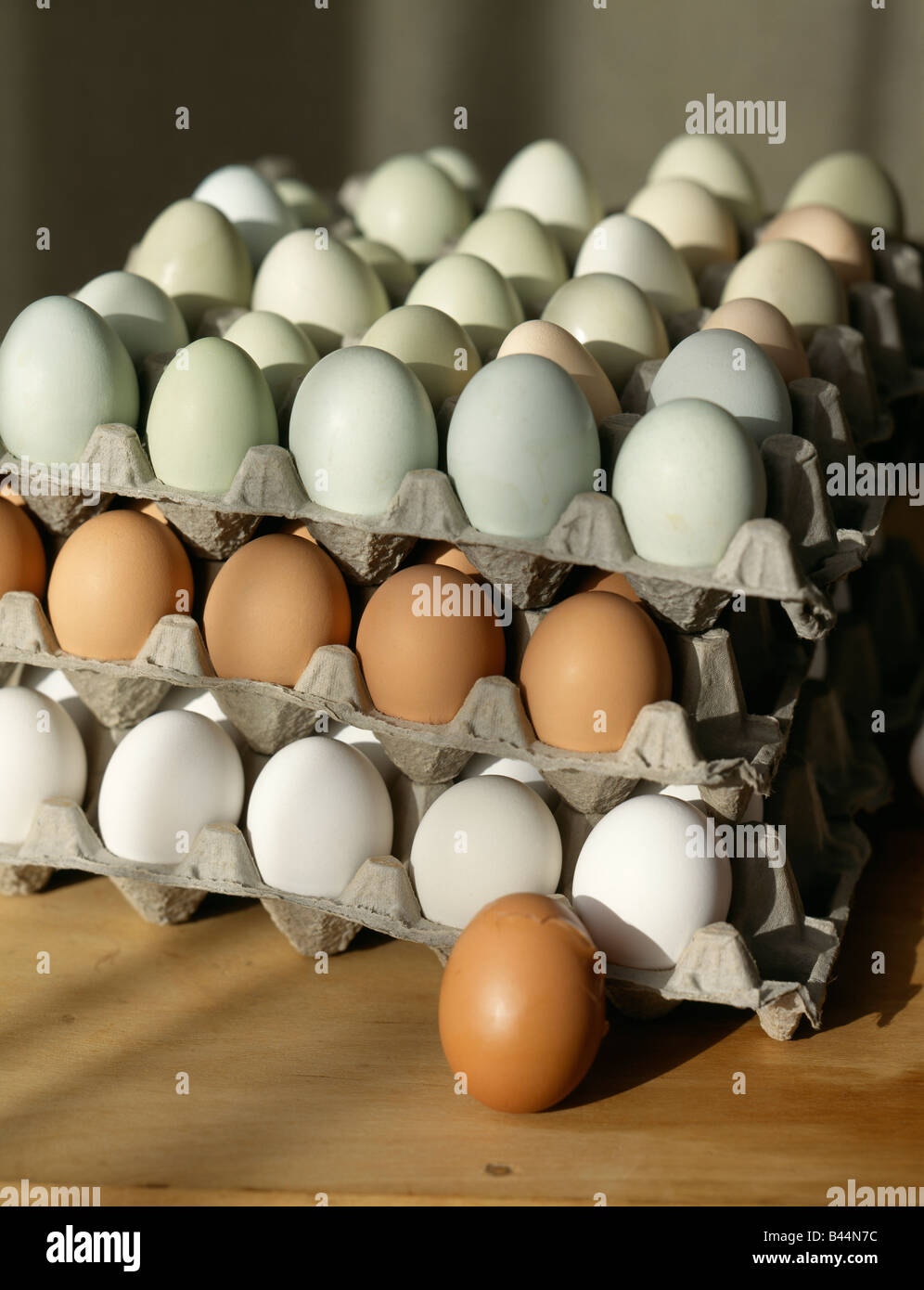 trays of different types eggs Stock Photo - Alamy trays of different types eggs Stock Photo - Alamy