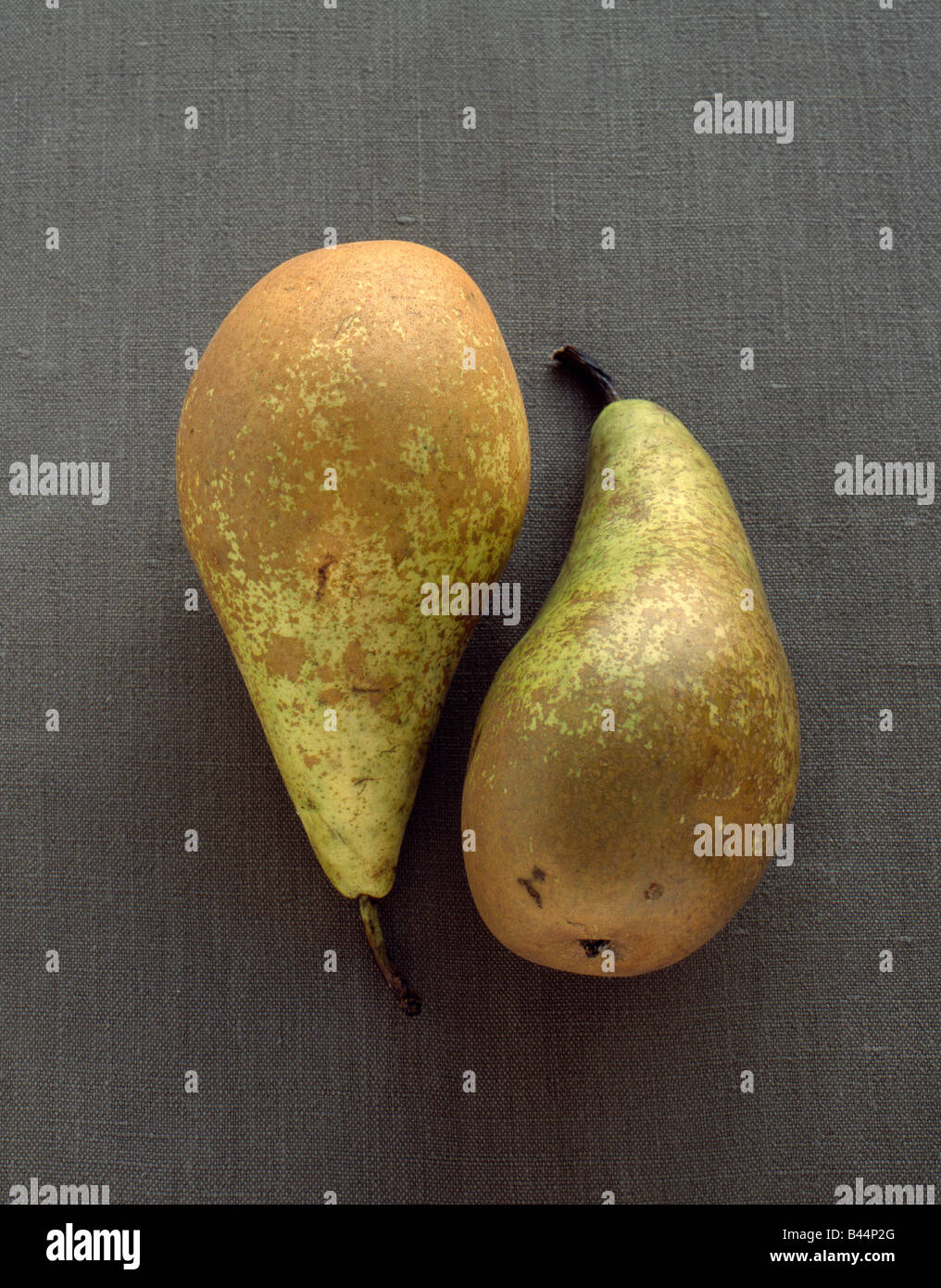 Two William pears Stock Photo - Alamy