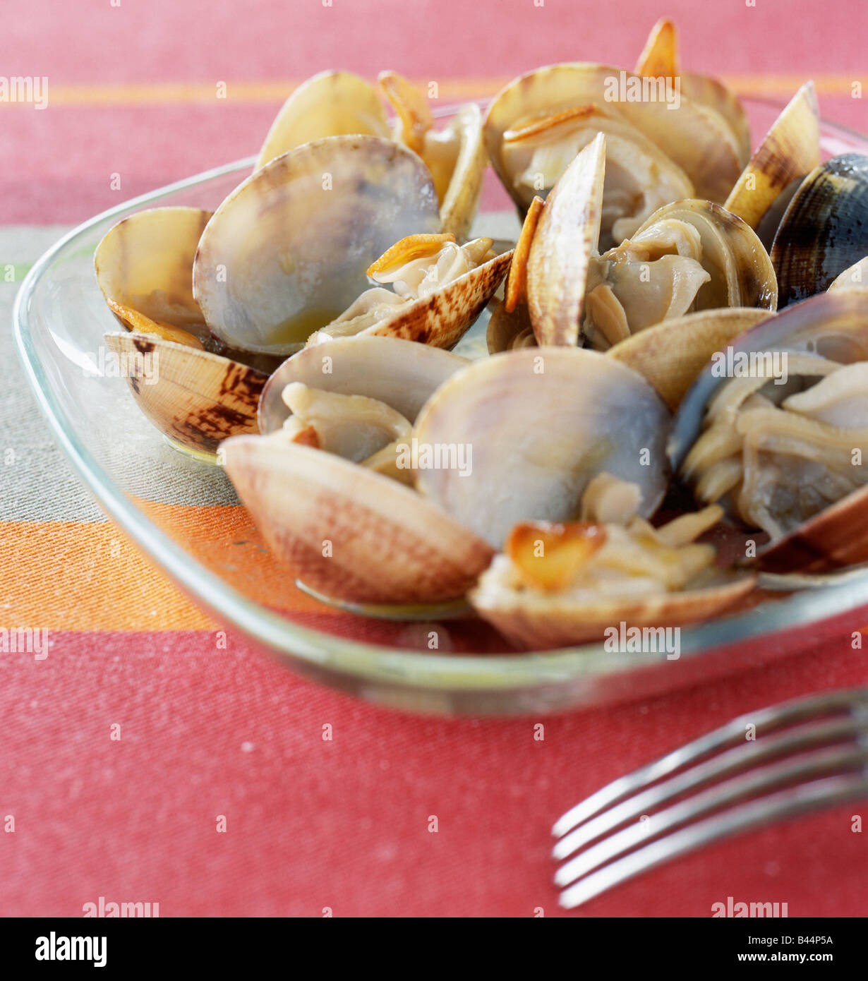 Carpet Shell Clams High Resolution Stock Photography and Images - Alamy