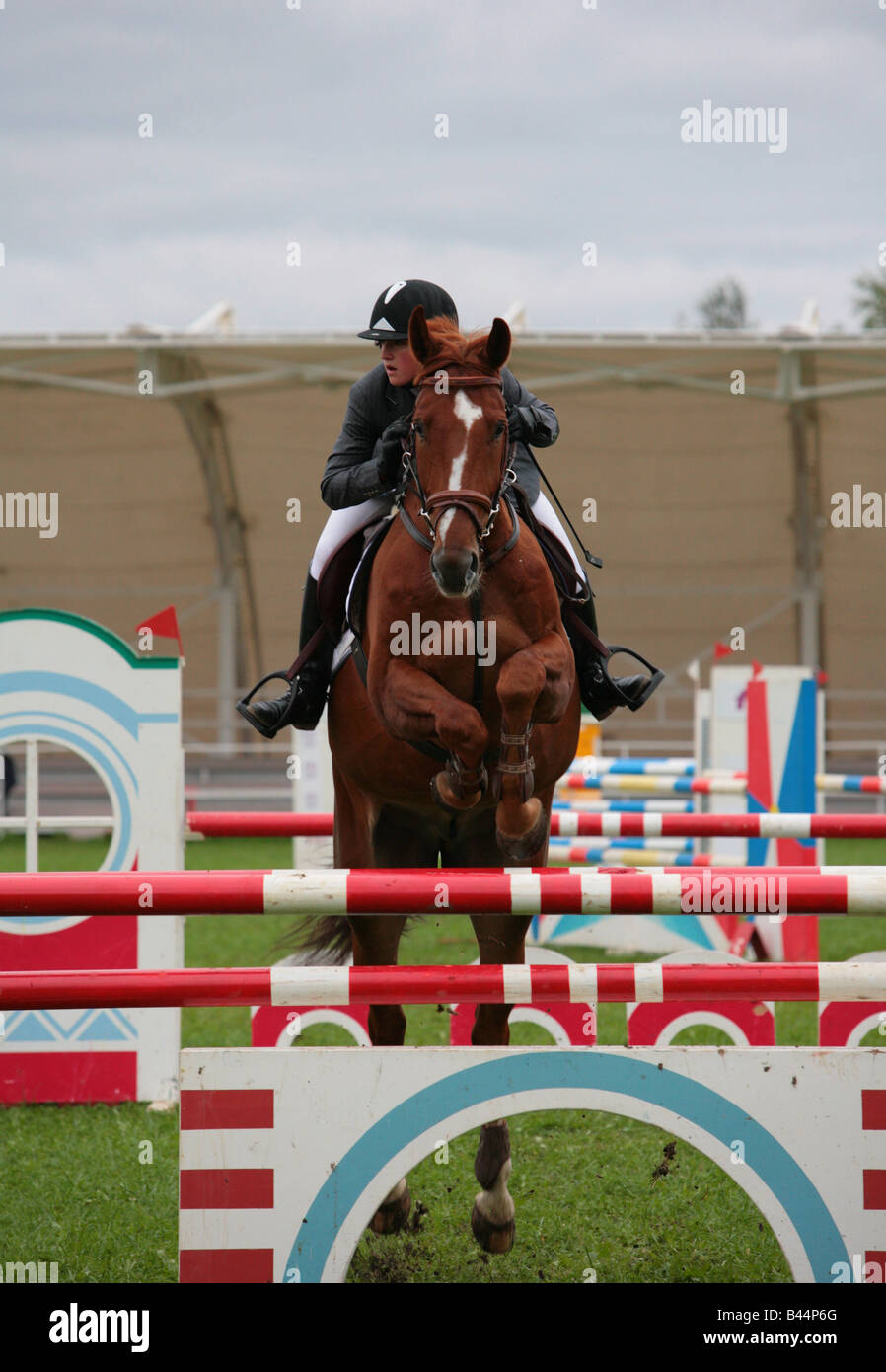 Rider jumping fence showjumping competition Stock Photo - Alamy
