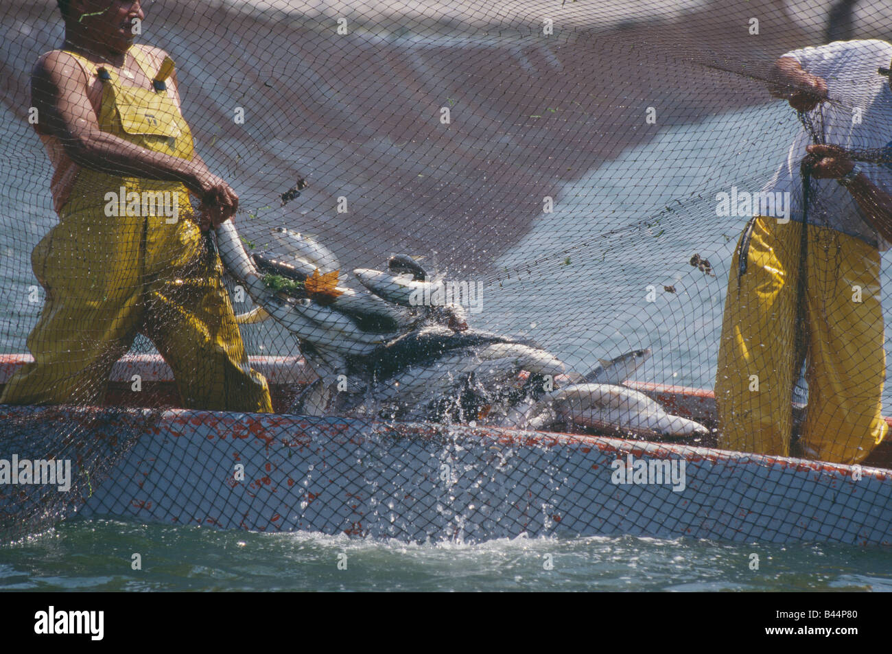 fishermen, fish and net Stock Photo - Alamy