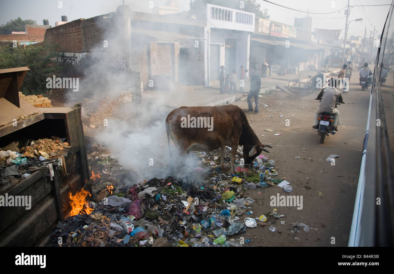 Waste burning india hi-res stock photography and images - Alamy