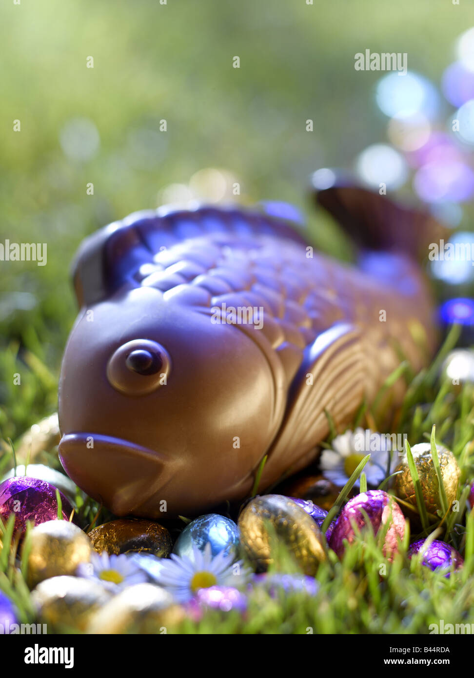 Chocolate fish easter egg hi-res stock photography and images - Alamy
