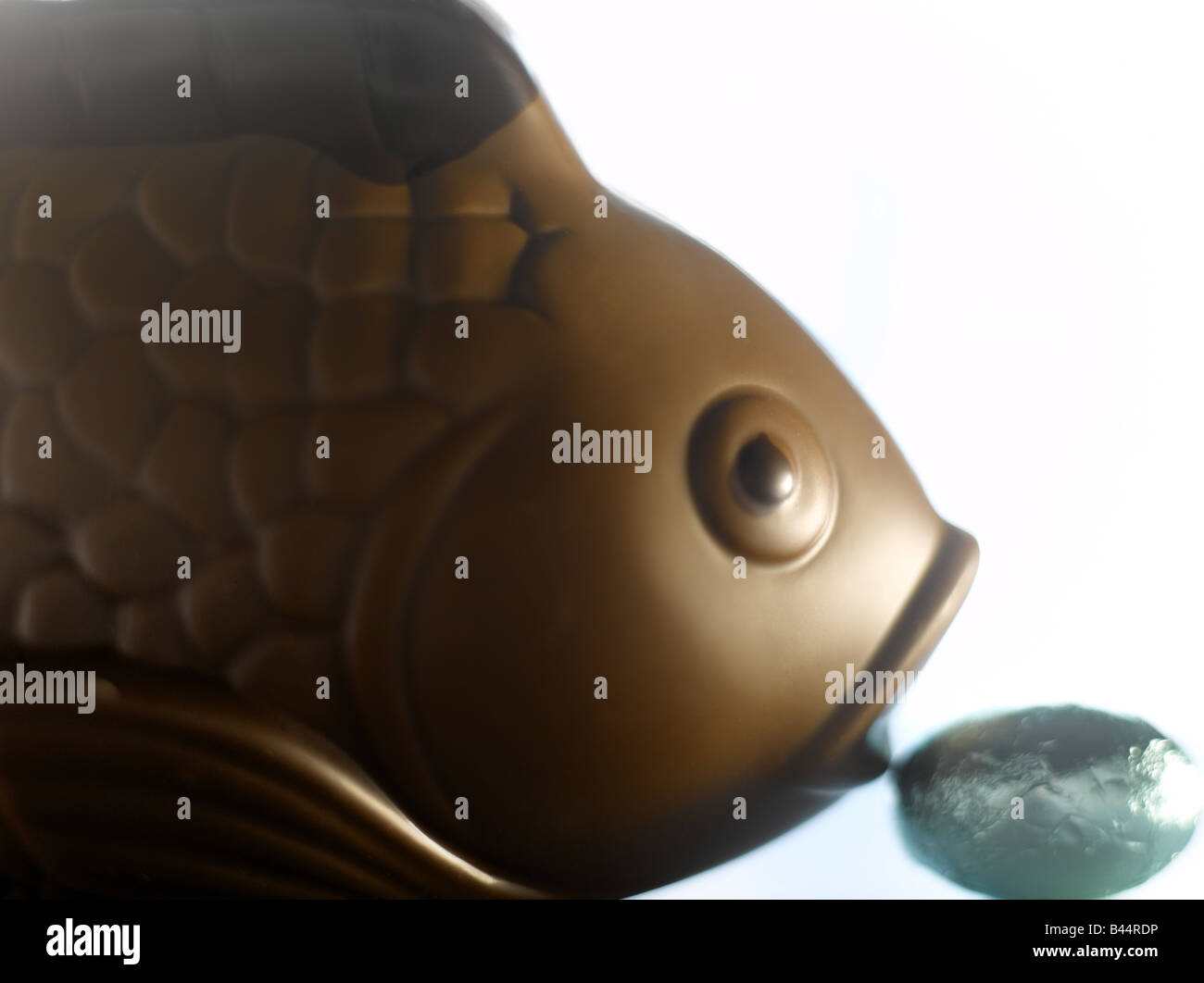 Chocolate fish milk hi-res stock photography and images - Alamy