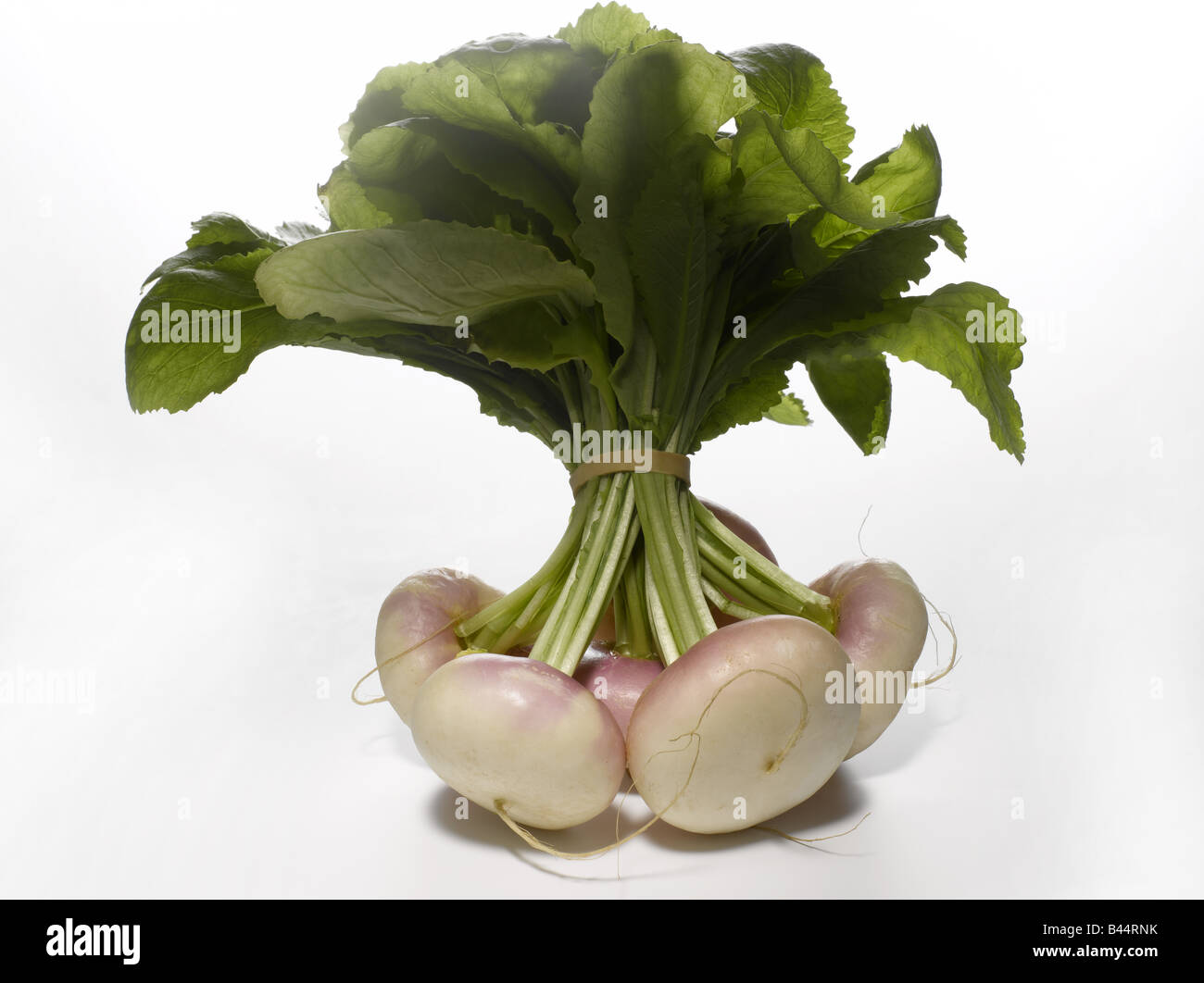 Bunch of fresh turnips Stock Photo - Alamy