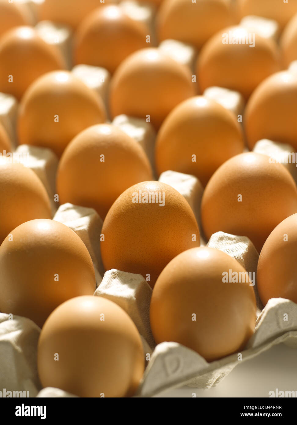 Tray of eggs Stock Photo - Alamy