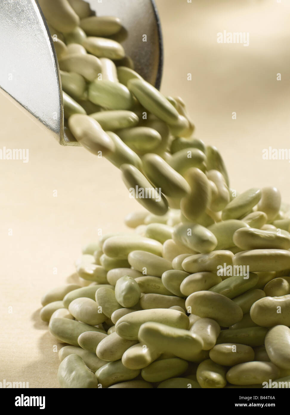 Green flageolet beans Stock Photo - Alamy