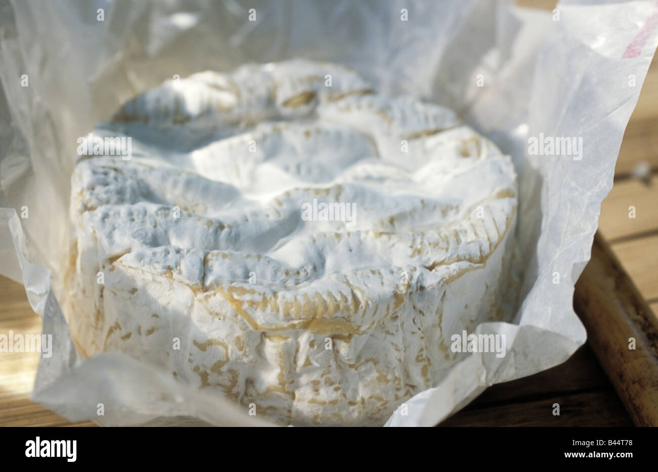 Whole camembert cheese hi-res stock photography and images - Alamy