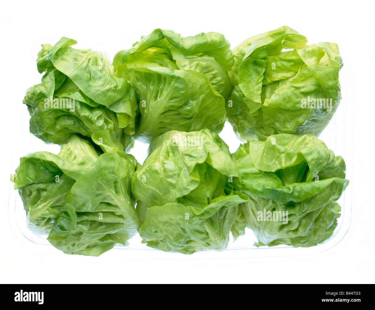 Punnet vegetable cut out hi-res stock photography and images - Alamy