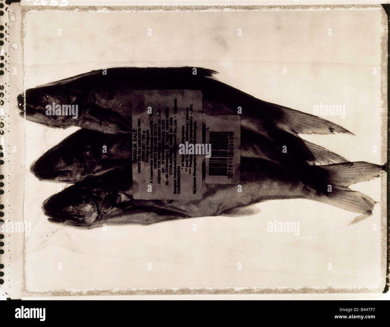 vacumm-packed smoked fish Stock Photo - Alamy