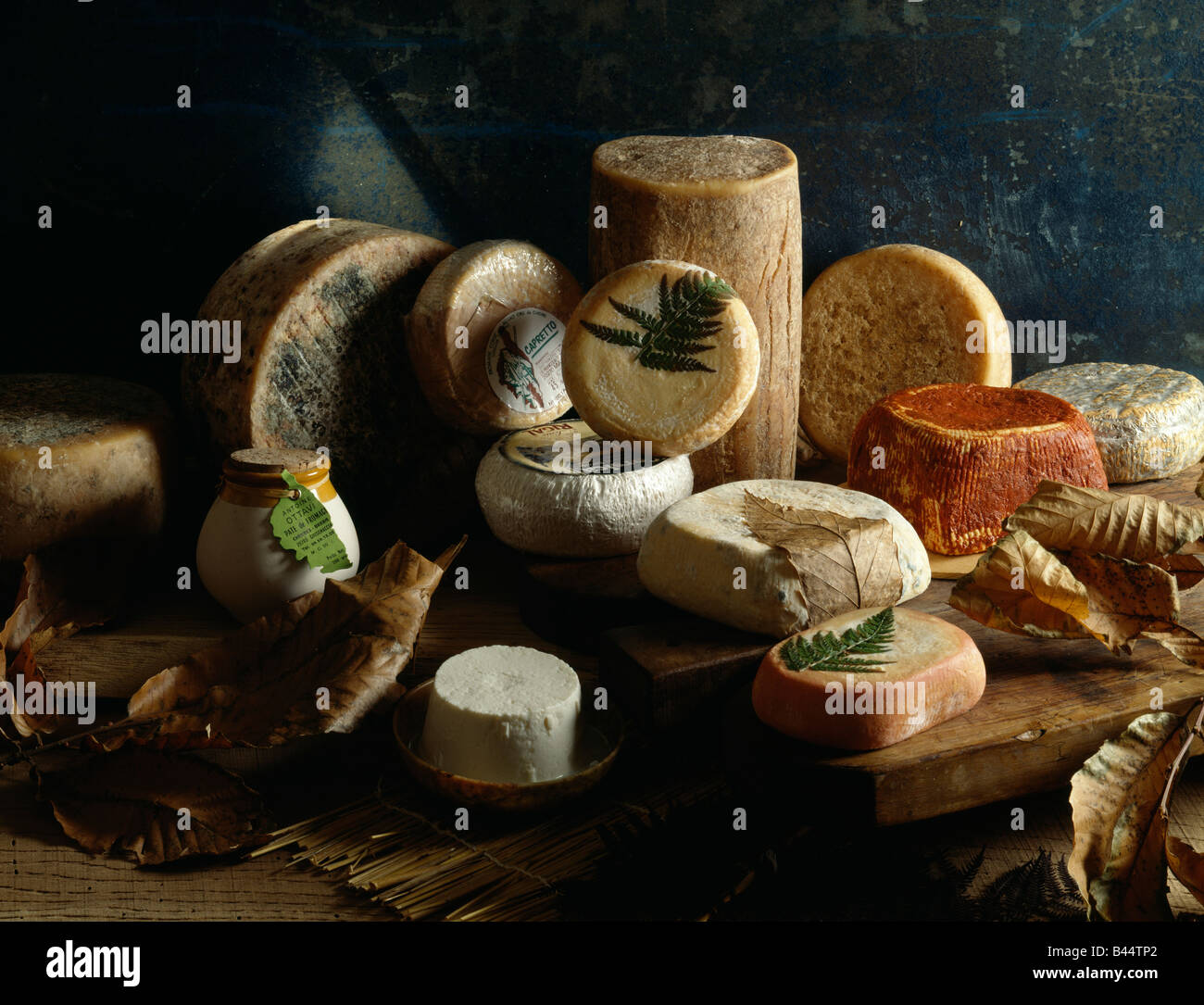 assorted corsican cheeses Stock Photo - Alamy