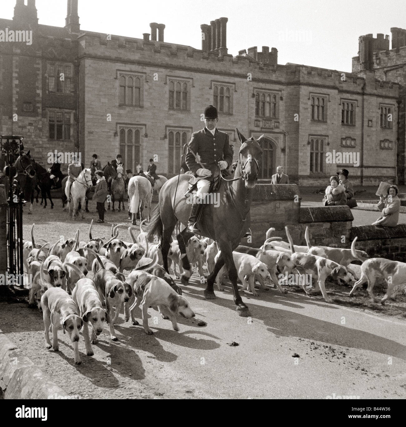 1940s sport blood sports hunter hunting horses dogs hounds hi-res stock ...