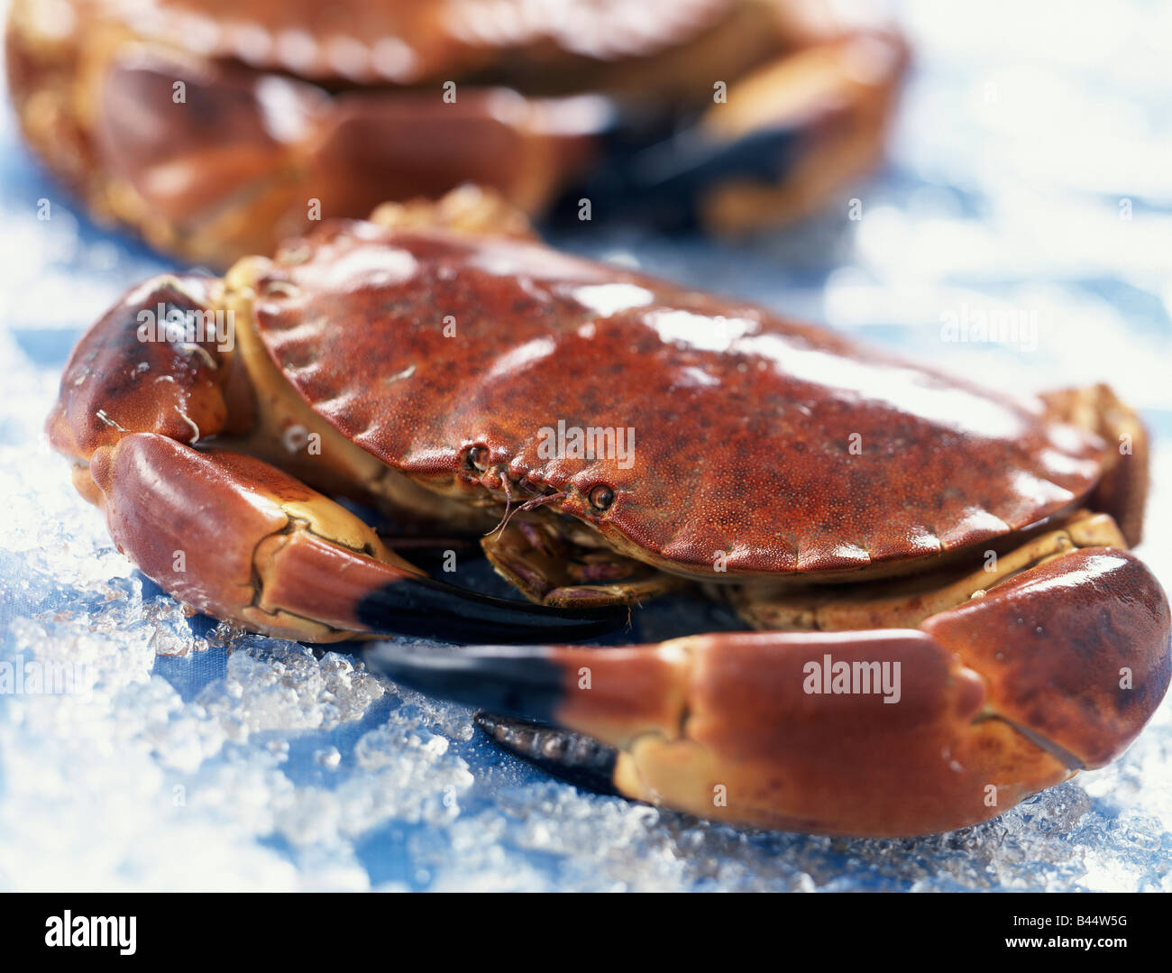 Crab ice cream hi-res stock photography and images - Alamy