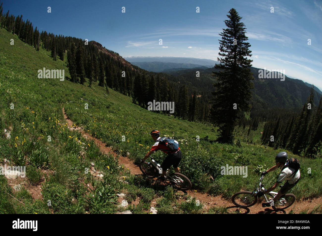 mountain biking in durango,colorado,usa Stock Photo - Alamy